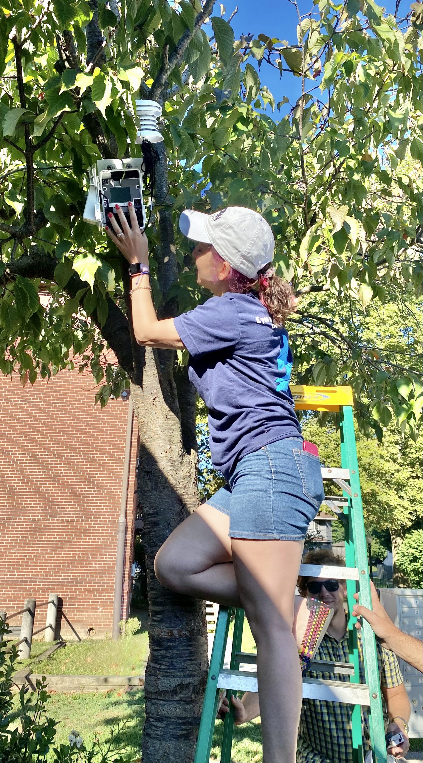 CT Summer Heat Wave Webinar: learning from heat sensor research and ...